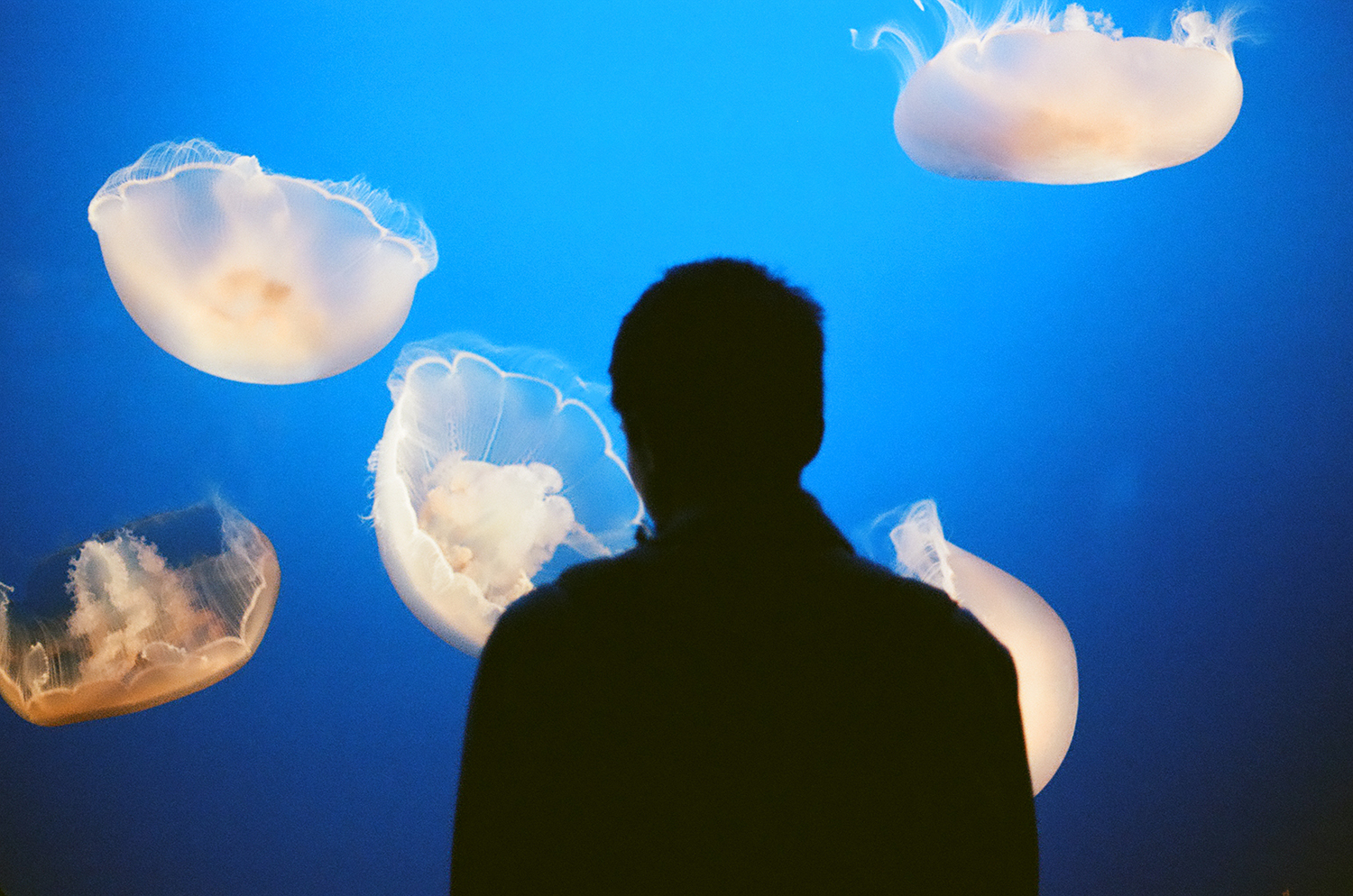 SARAH_A_INDISPOSABLECONCEPT_5_31 | Indisposable Concept